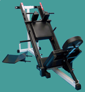 Way Hip Sled for Proper Lower Body strength exclusively at New York Bar ...